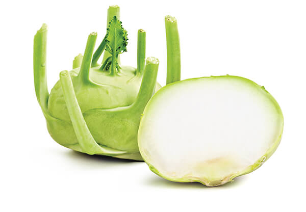 Turnip Cabbage - Groupe Vegco