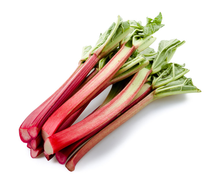 Rhubarbe - Groupe Vegco
